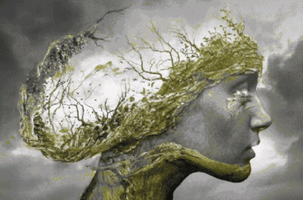Artist Creates Hauntingly Beautiful Gifs, Despite Being Legally Blind