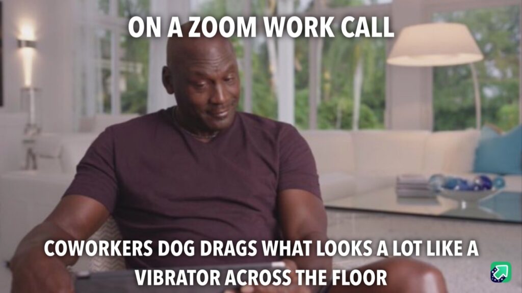 30+ Work From Home Quarantine Memes